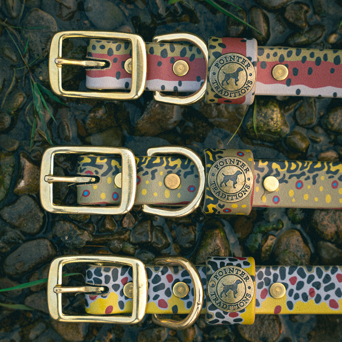 Pointer Traditions | Sporting Dog Collar - Brook Trout