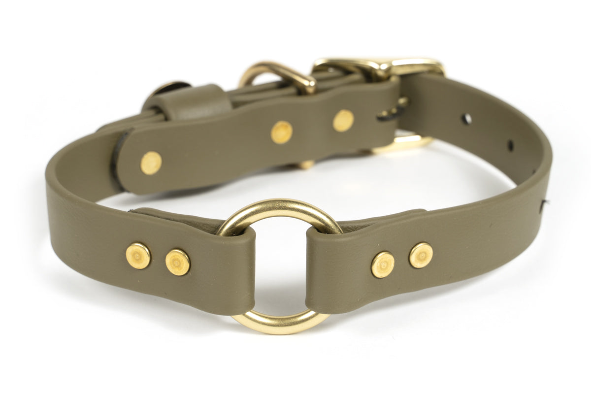 Pointer Traditions | Hunting Dog Center Ring Collar - Ranger Green