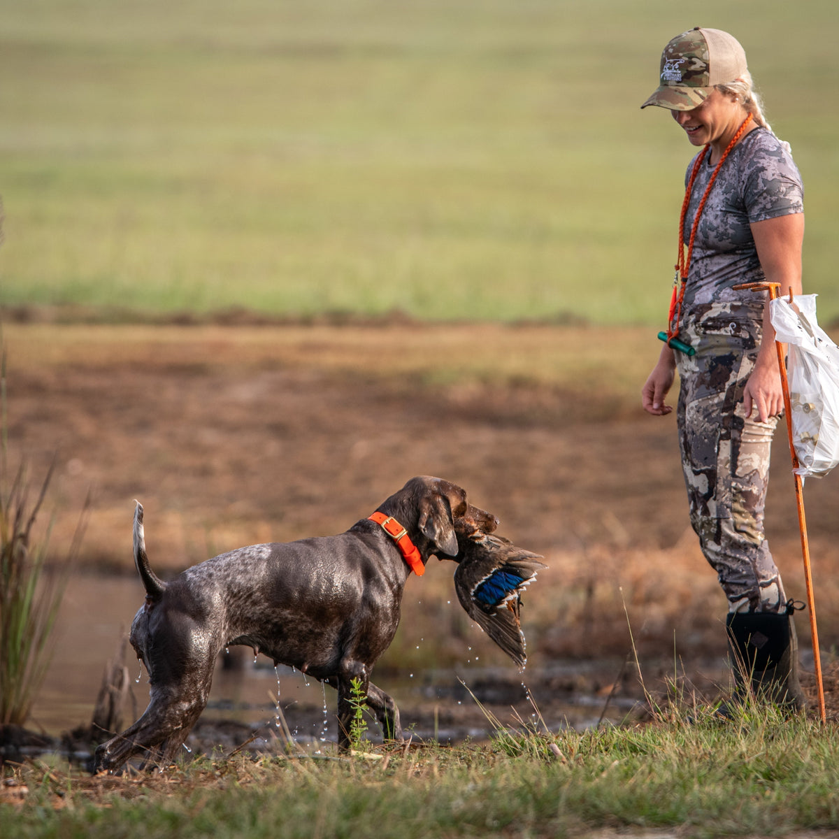 10 Activities To Do with Your German Shorthaired Pointer – Pointer Traditions