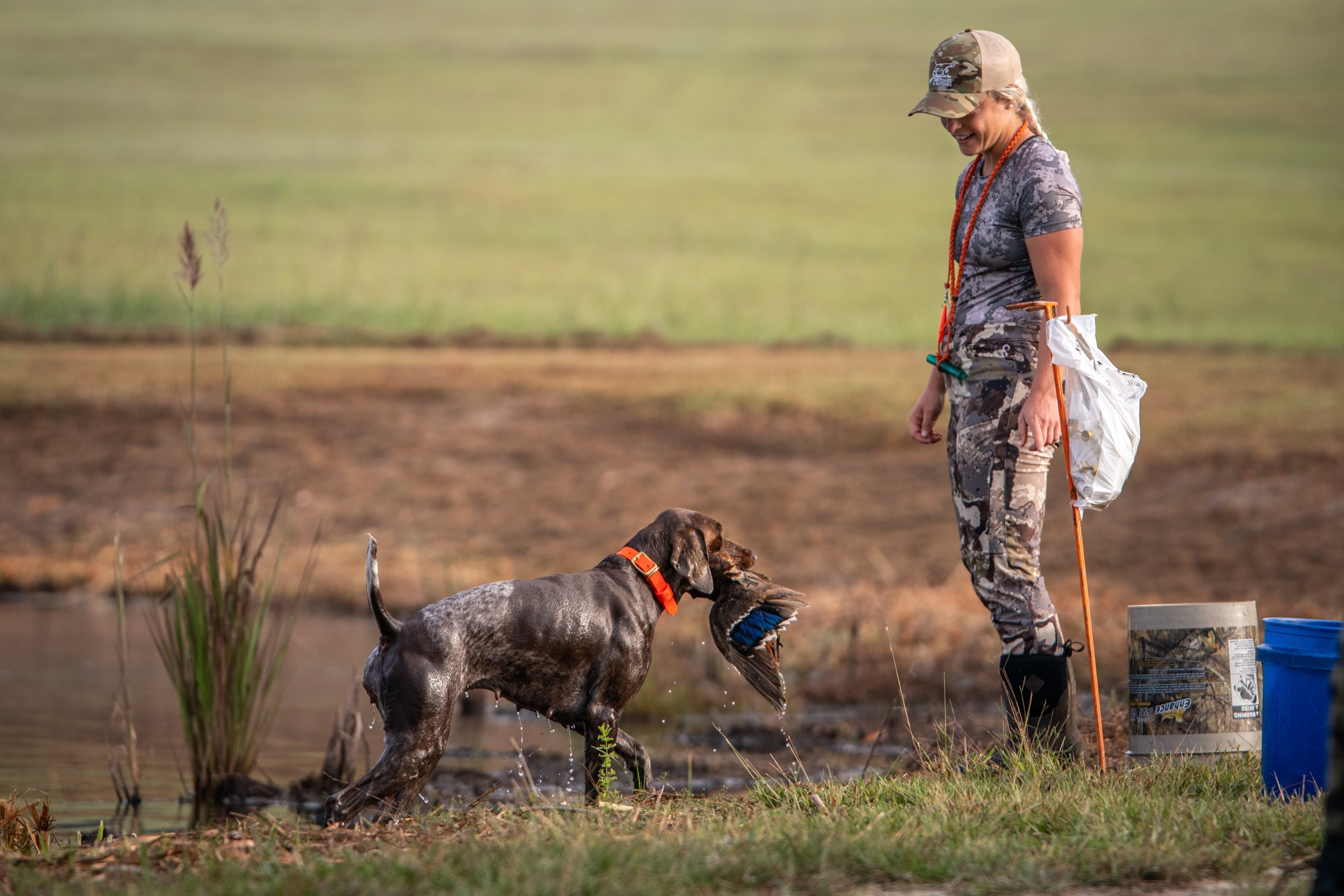 10 Activities To Do with Your German Shorthaired Pointer – Pointer ...