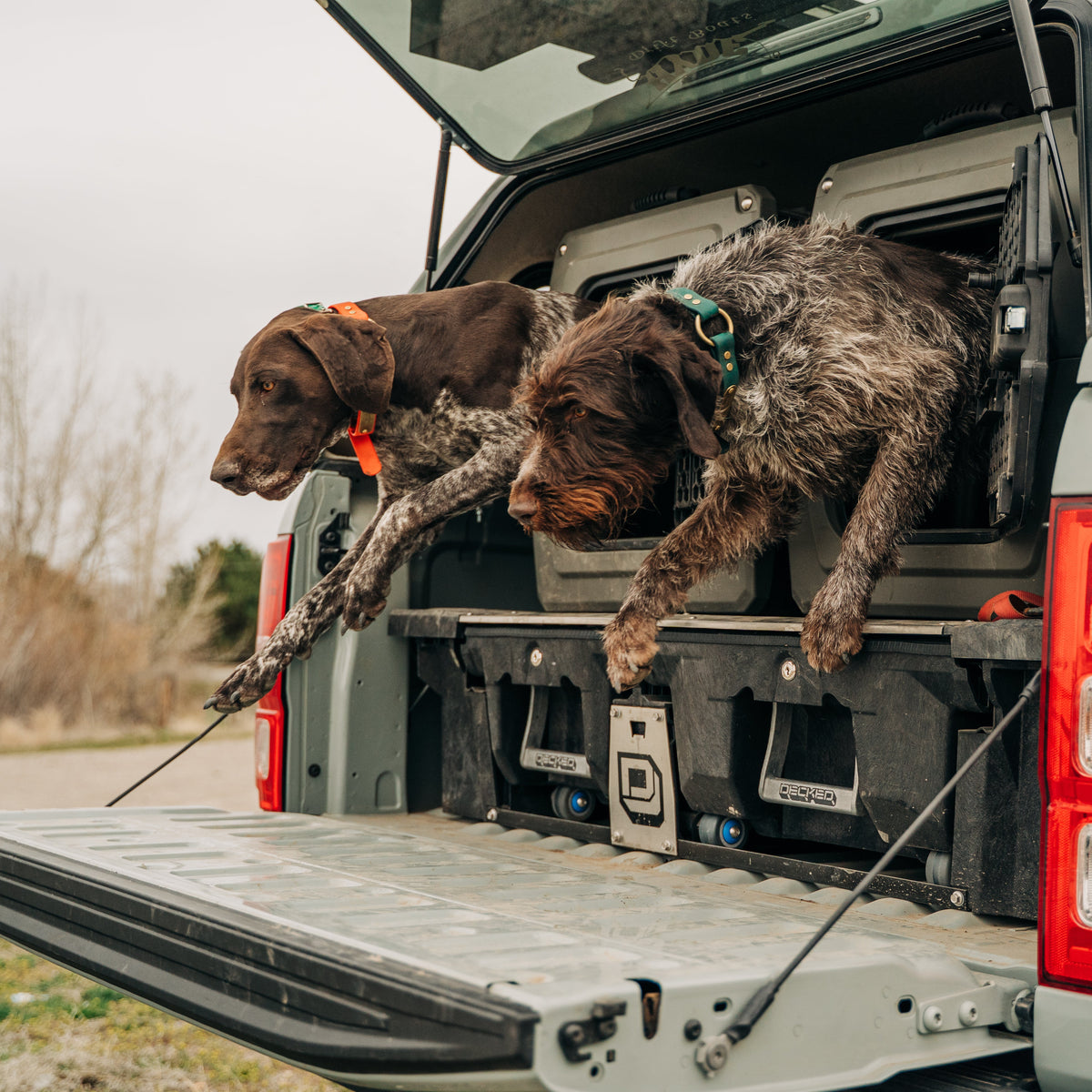 Hunting Style O-Ring Dog Collars – Pointer Traditions