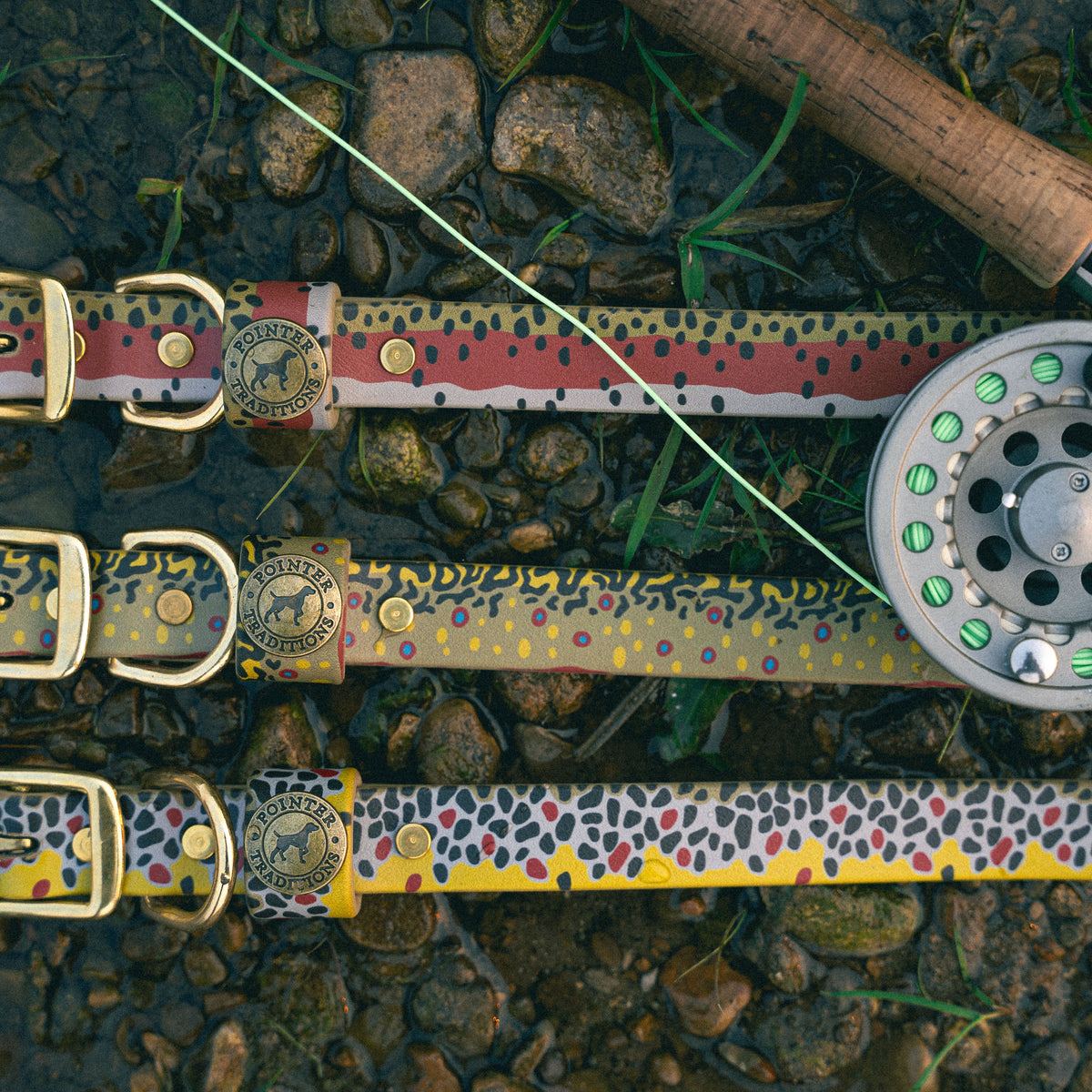 Trout Pattern Dog Collars – Pointer Traditions