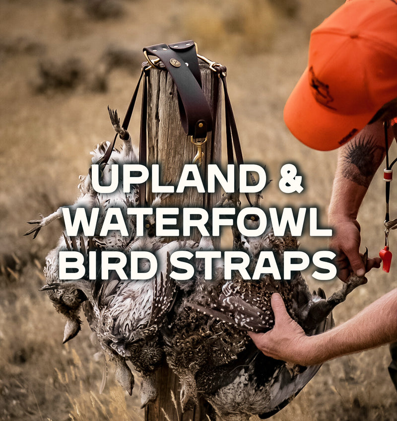 Pointer Traditions | Dedicated To The Bird Dog Lifestyle