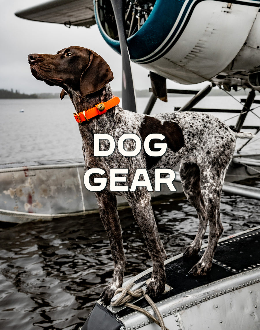 Pointer Traditions | Dedicated To The Bird Dog Lifestyle