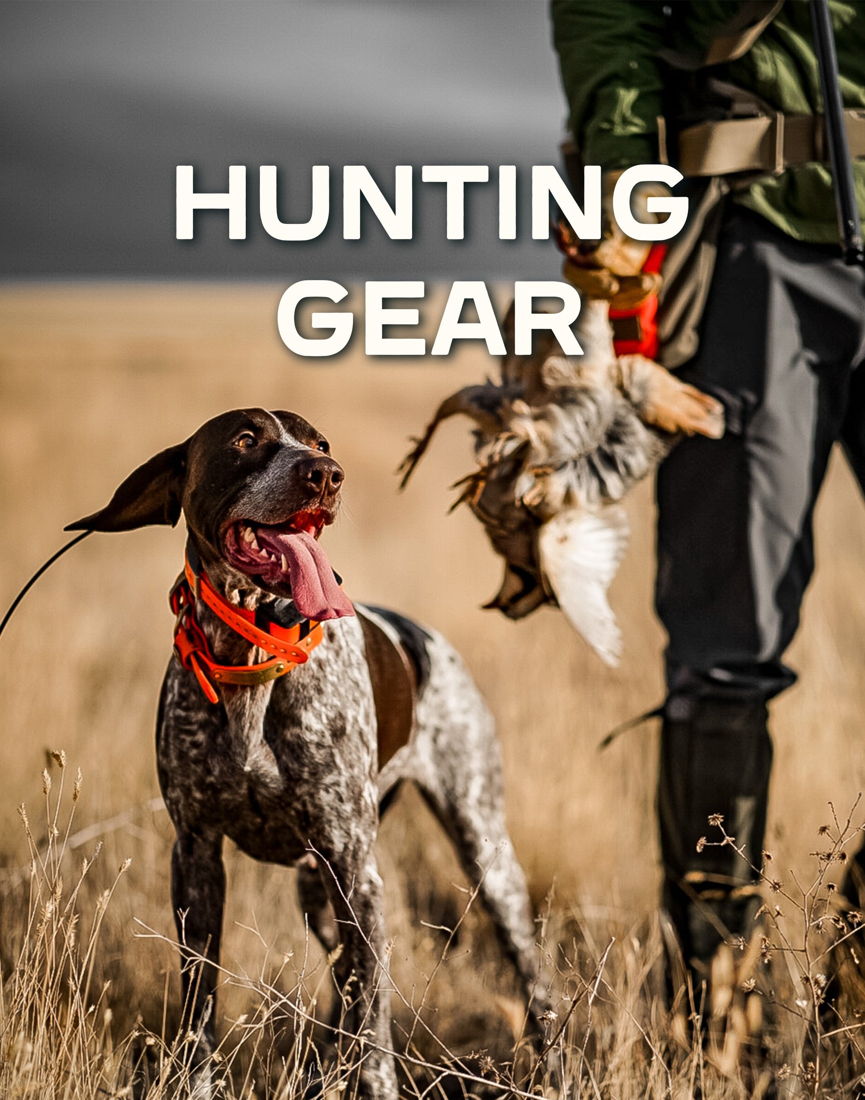 Pointer Traditions | Dedicated To The Bird Dog Lifestyle